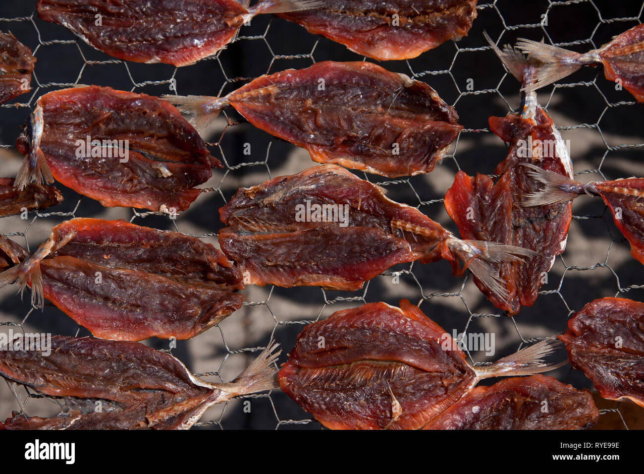 Raw fish, gutted and halved, is drying on a wire rack in the sun ...