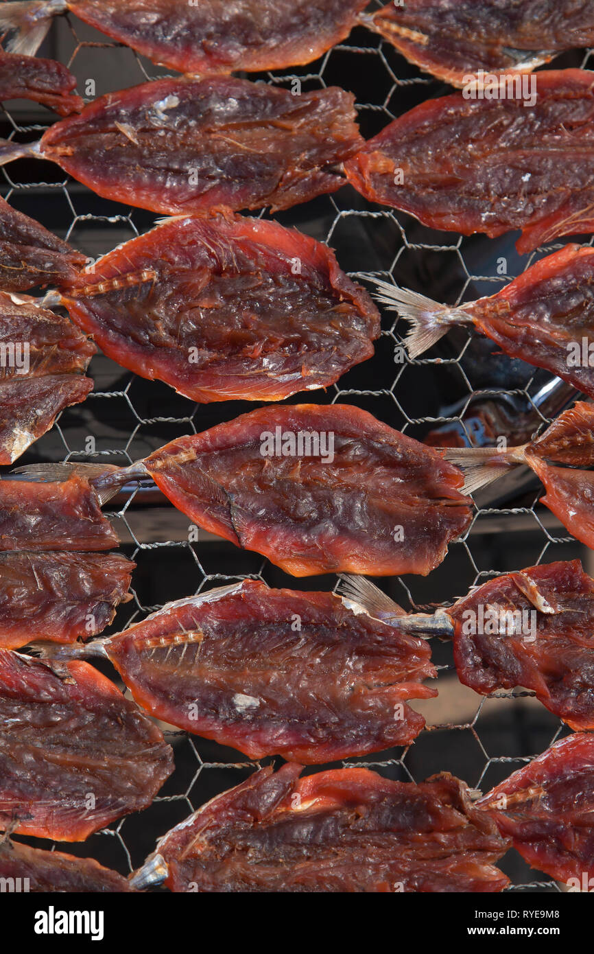 Yellowfish hi-res stock photography and images - Alamy