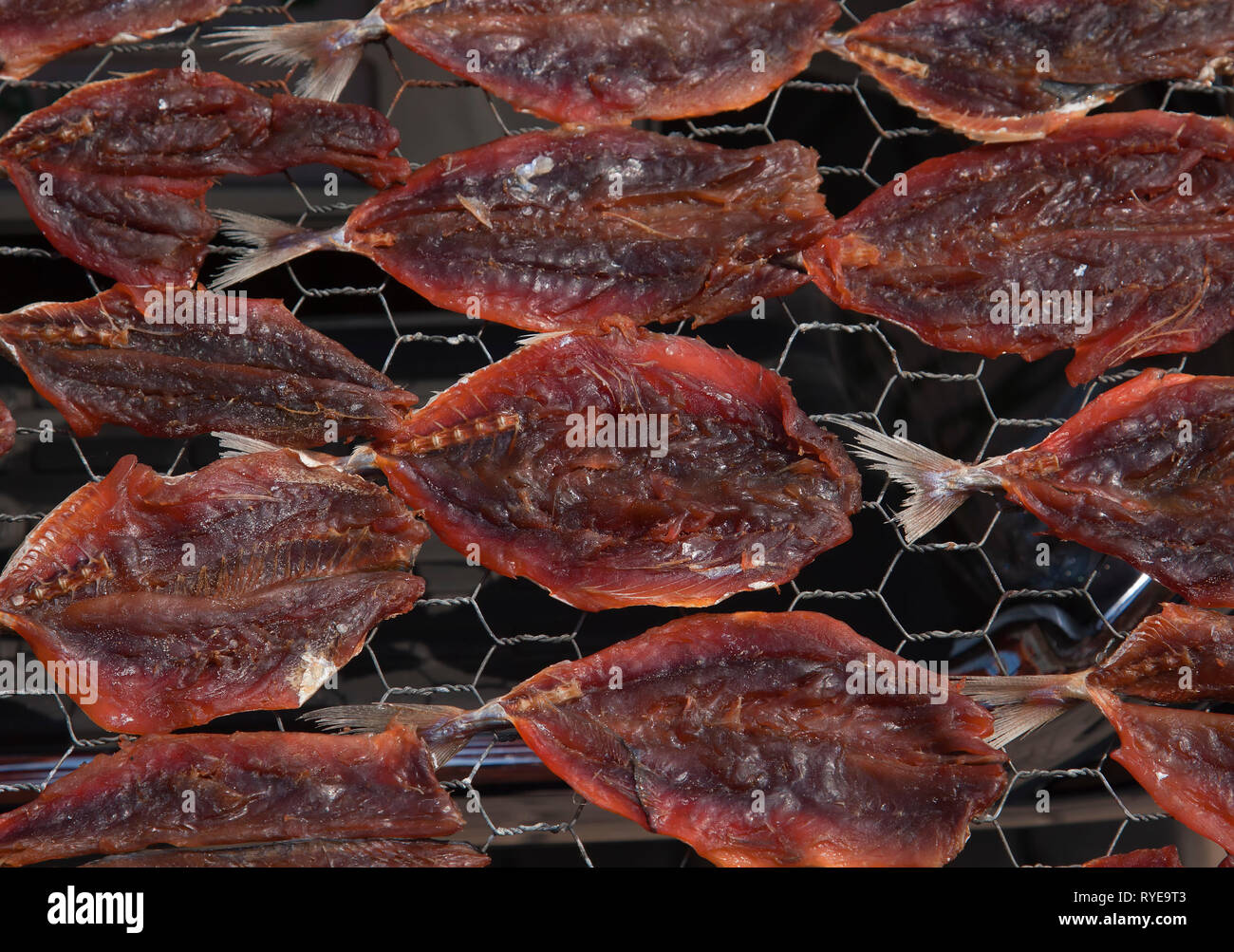 Yellowfish Stock Photos & Yellowfish Stock Images - Alamy