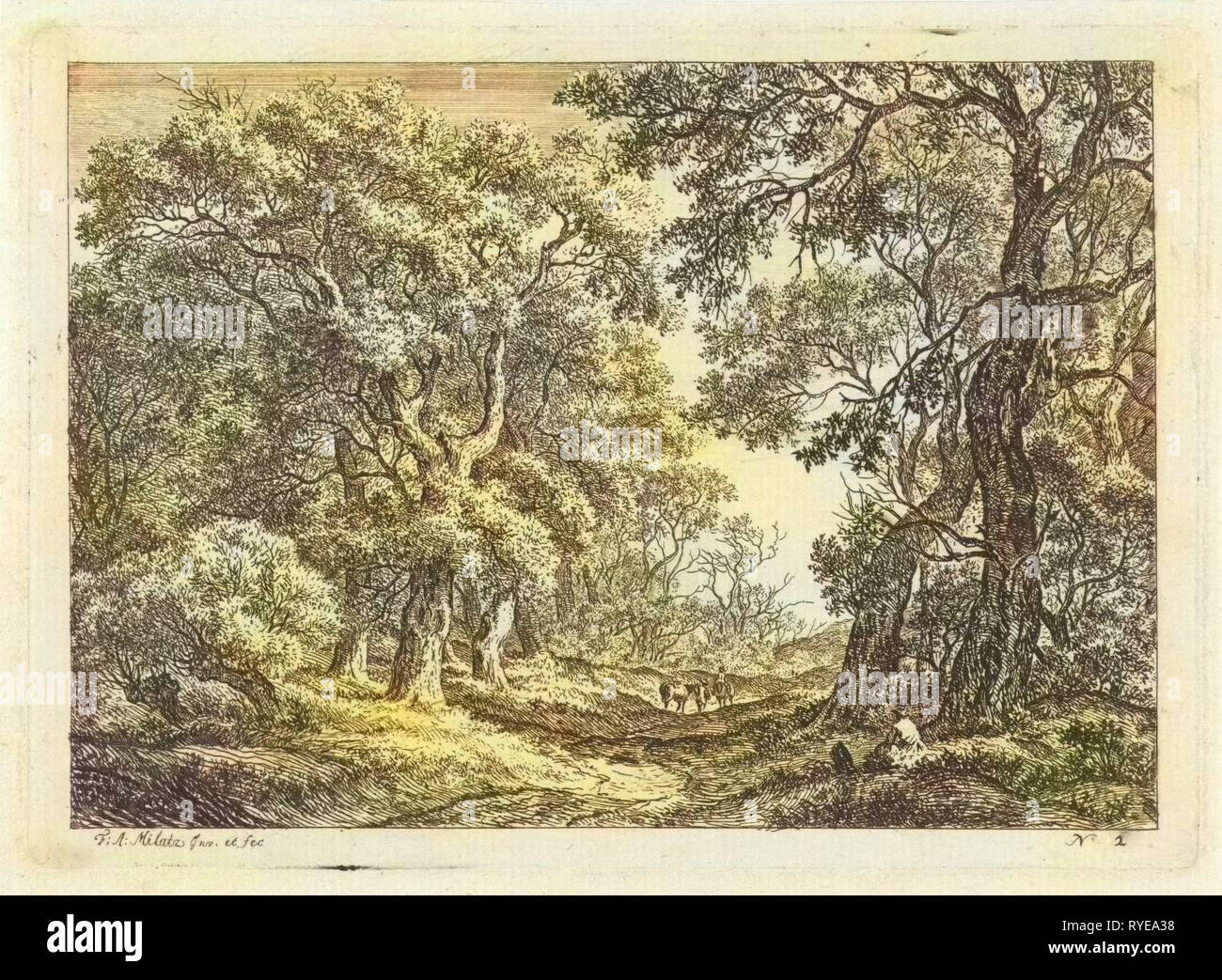 Road between trees, Franciscus Andreas Milatz, 1784-1808 Stock Photo ...