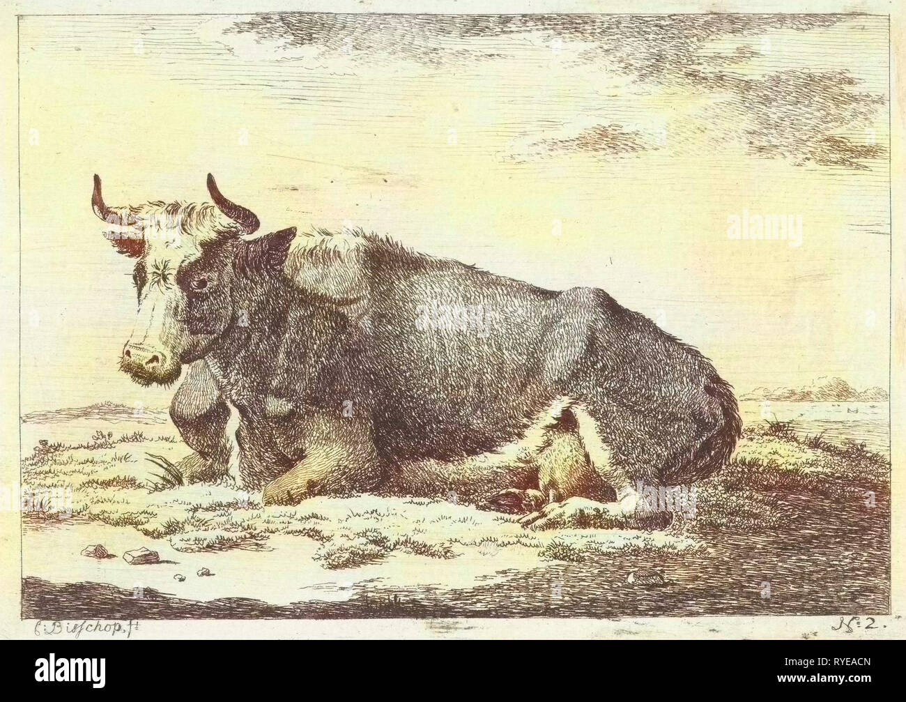 Landscape with reclining cow with horns, print maker: Cornelis Bisschop ...