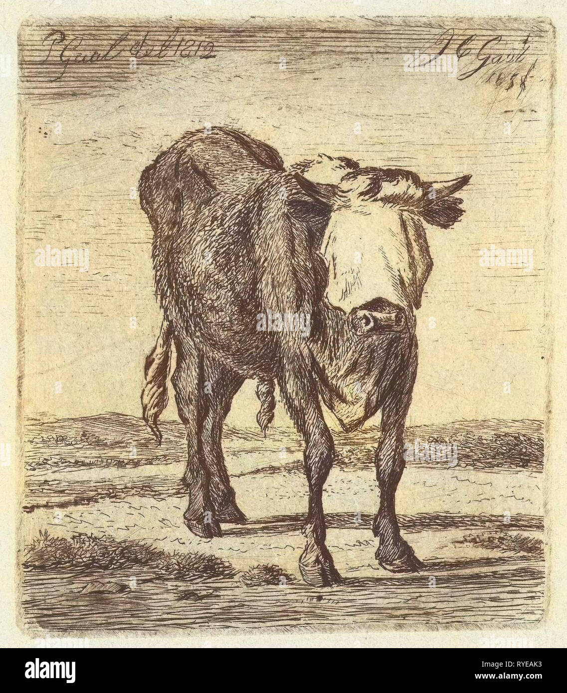 Master jacobus hi-res stock photography and images - Alamy