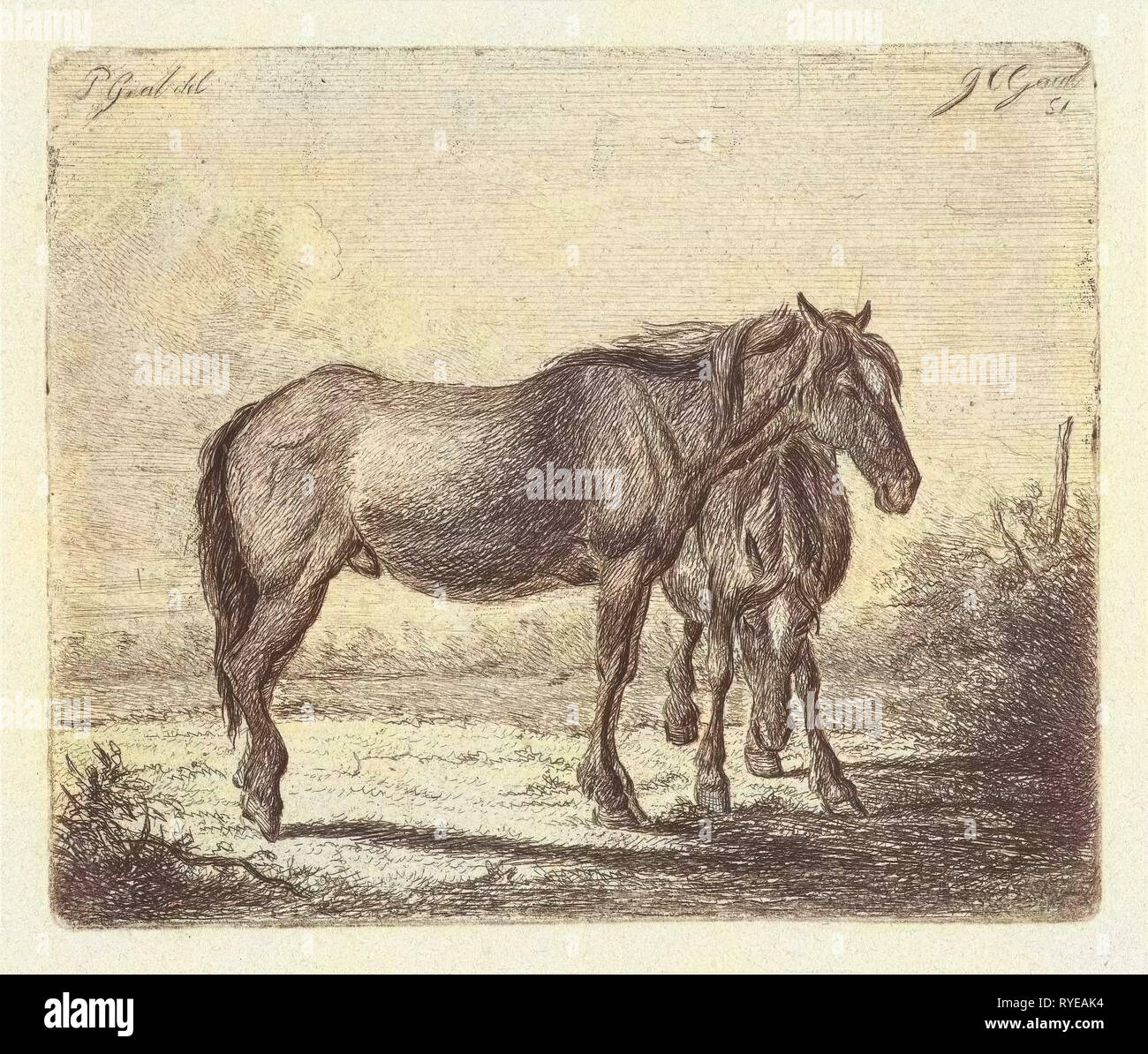 Master jacobus hi-res stock photography and images - Alamy