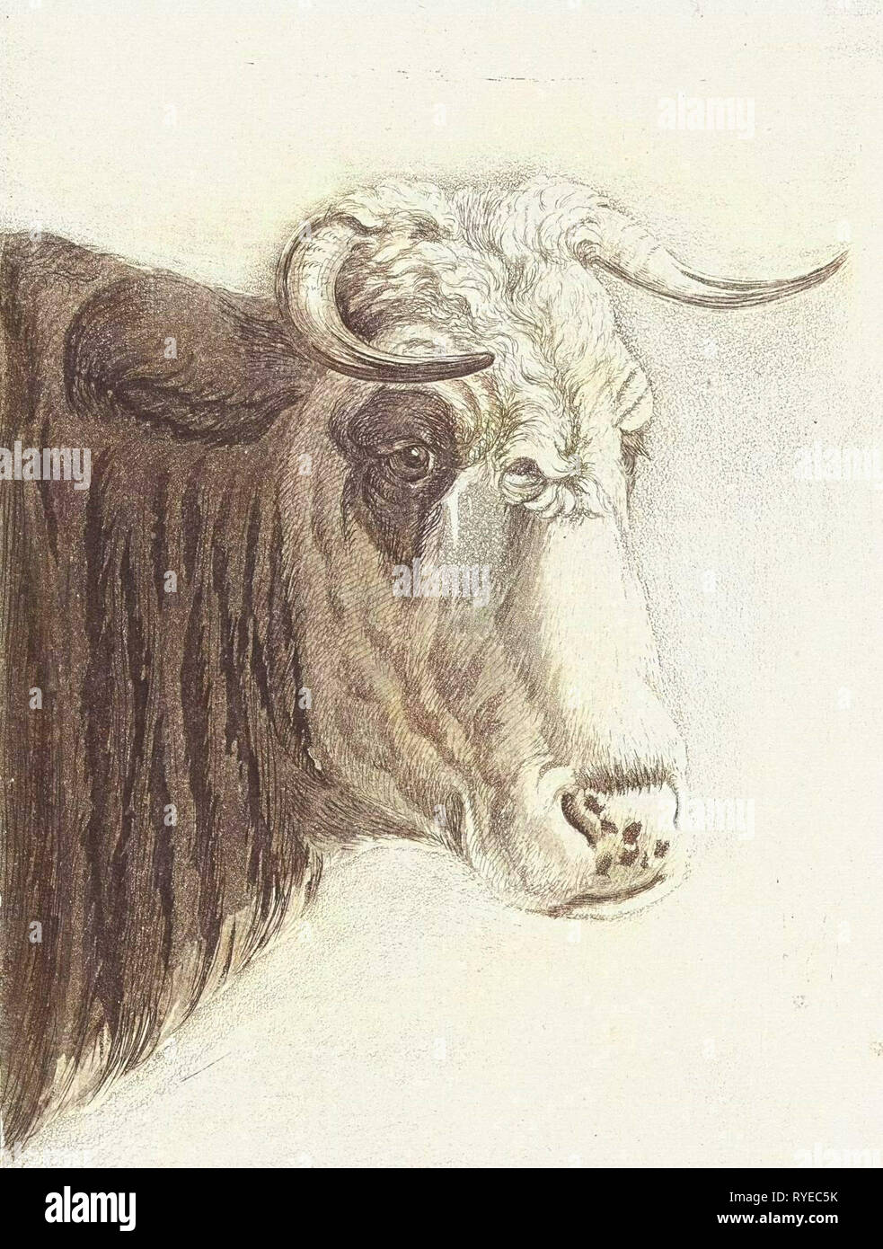 Jan diederik hi-res stock photography and images - Alamy