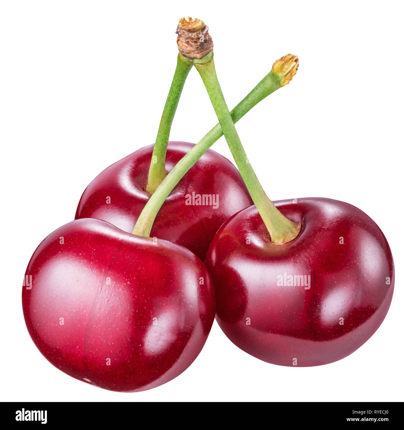 Three cherries on a white background. File contains clipping path Stock ...