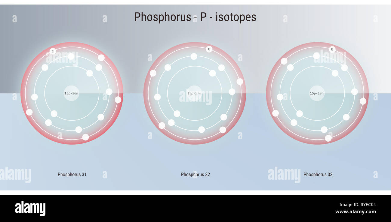 phosphorus chemical element isotopes atomic structure illustration ...