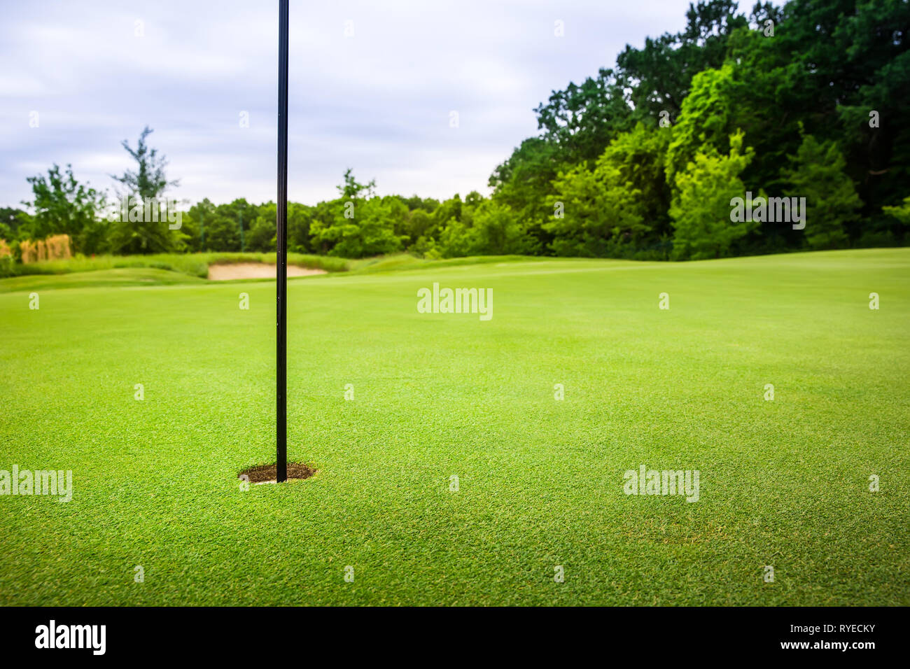 Final course hi-res stock photography and images - Alamy