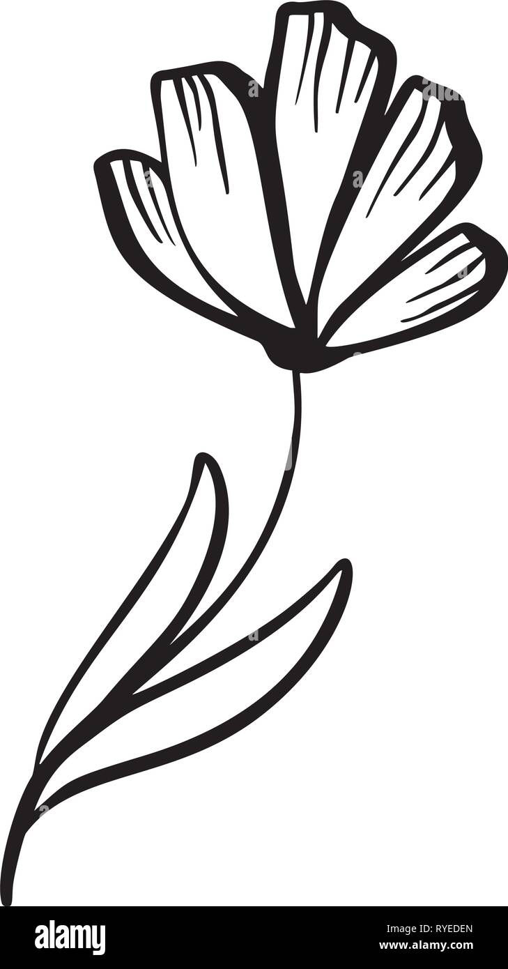 Free field decoration Stock Vector Images - Alamy