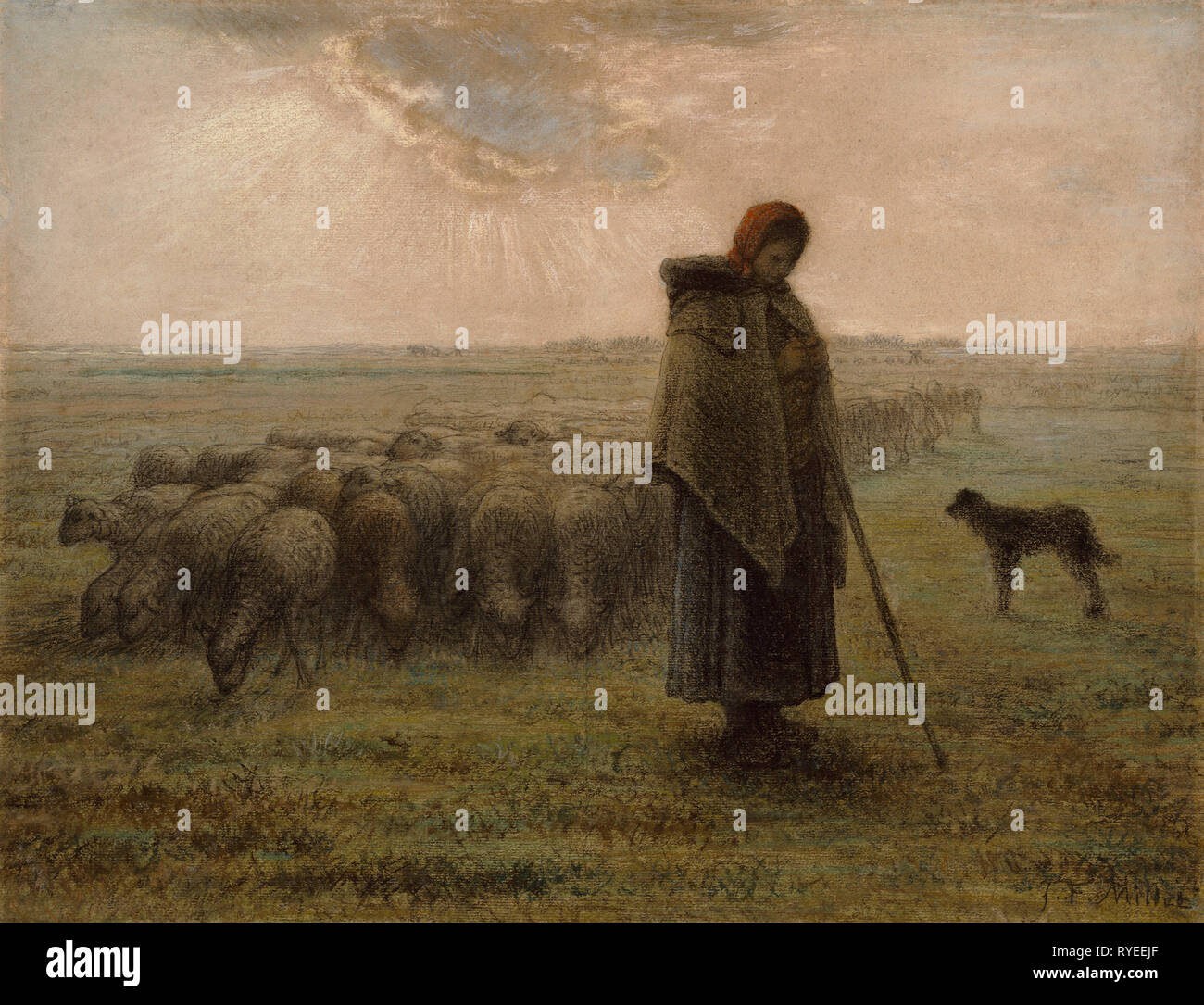 Woman shepherdess with flock of sheep hi-res stock photography and ...