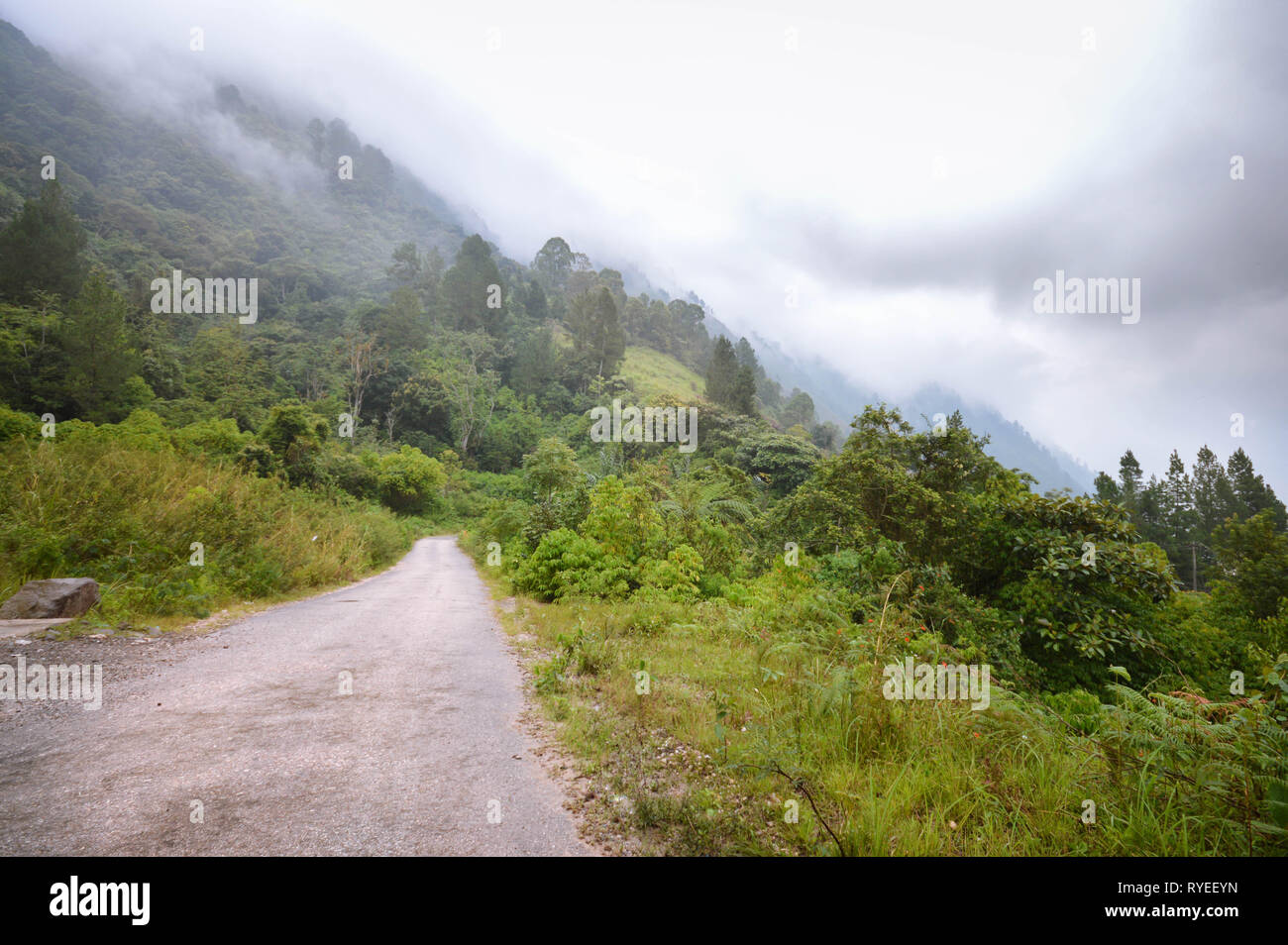 Beautiful scenery of sumatra hi-res stock photography and images - Alamy