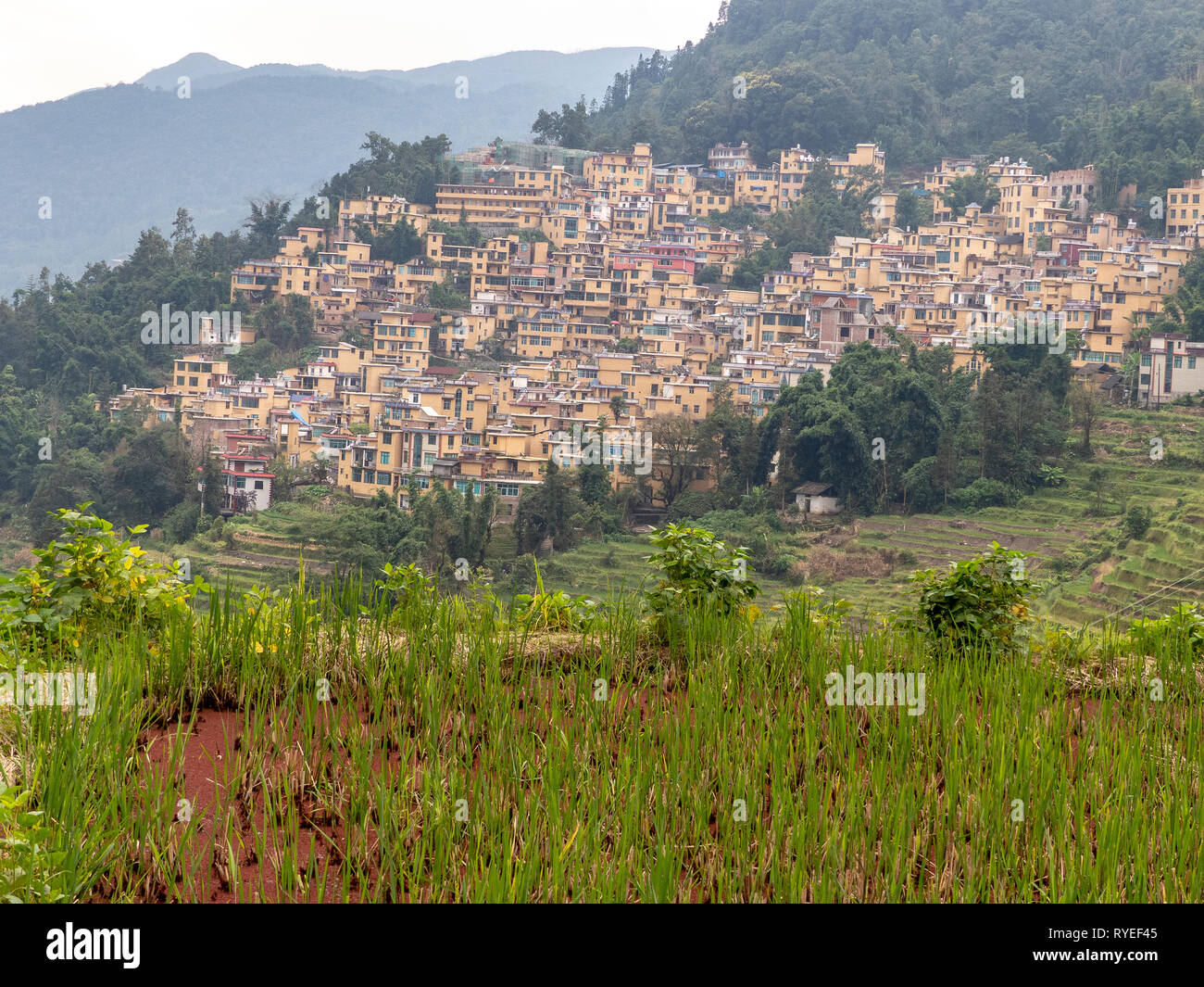 Yuanyang County is located in Honghe Prefecture in southeastern Yunnan ...