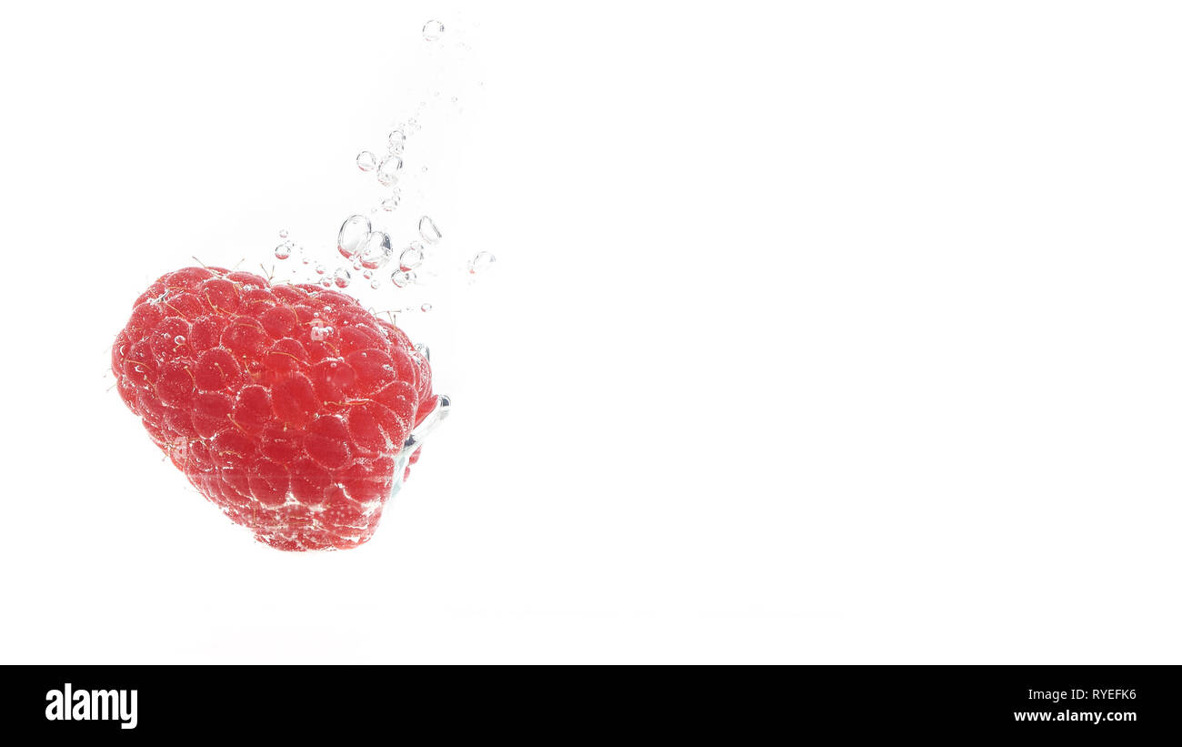 One raspberry falling into a water isolated on white background ...