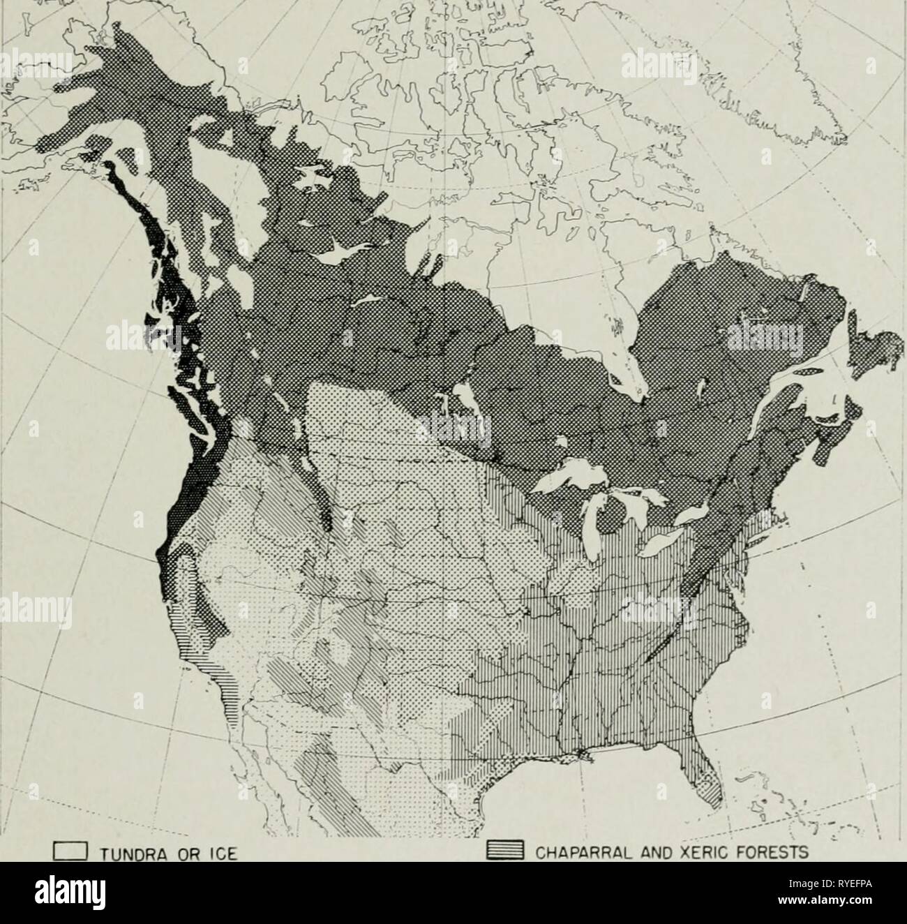 The Dunesland heritage of Illinois Stock Photo - Alamy