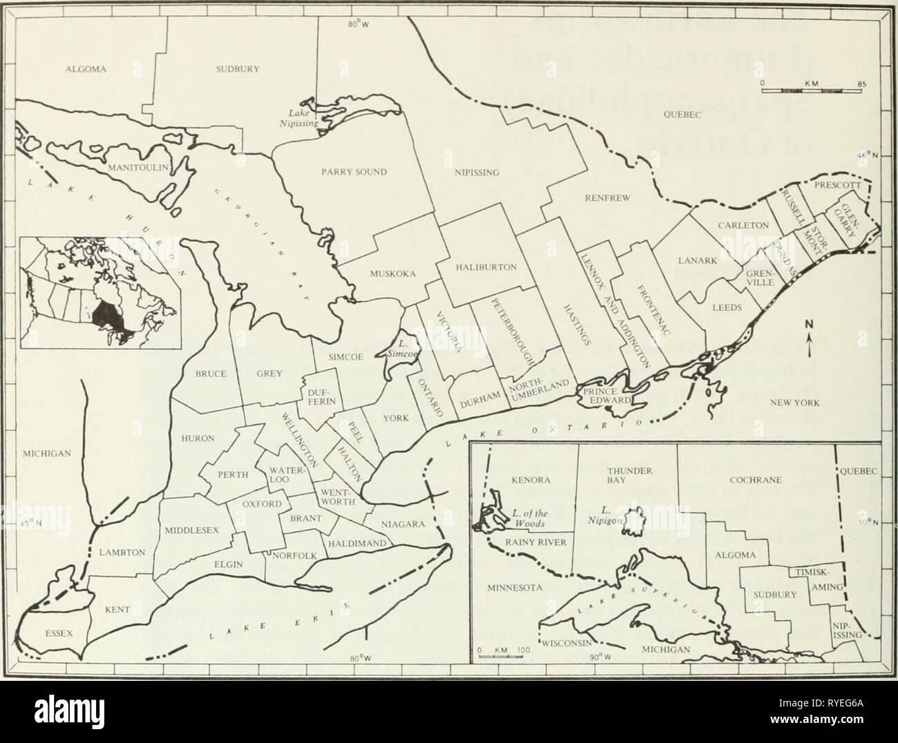 The earthworms (lumbricidae and sparganophilidae Stock Photo - Alamy