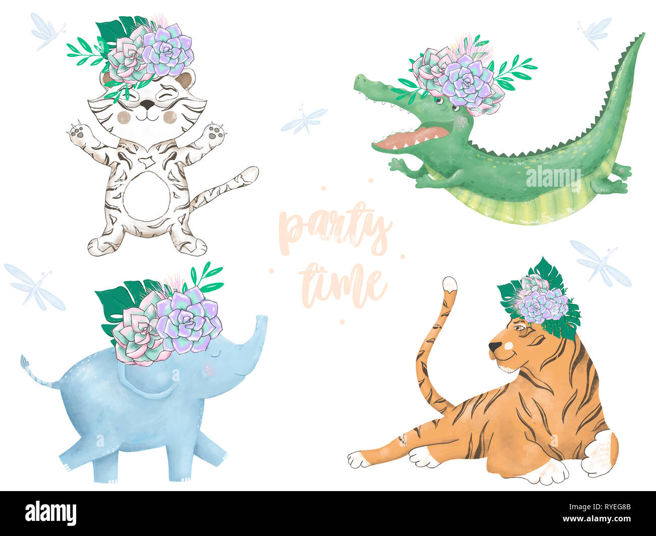 Full face tiger Cut Out Stock Images & Pictures - Alamy