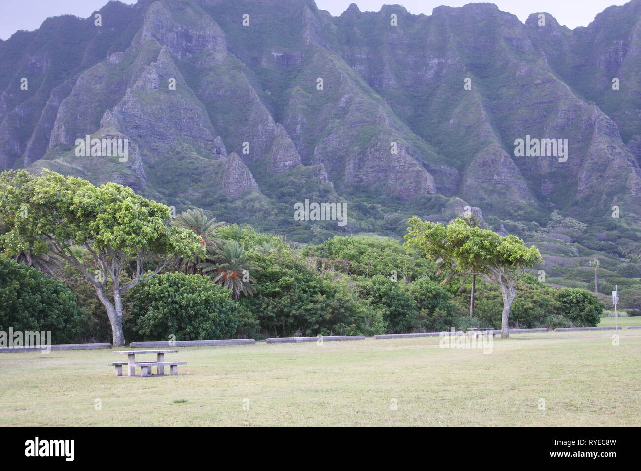 Kaala mountain hi-res stock photography and images - Alamy