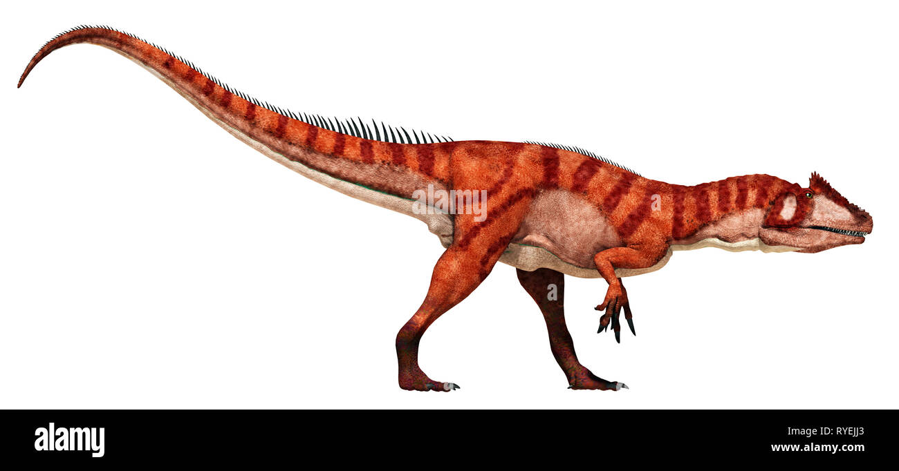 An Allosaurus walks in profile. Perhaps he is out hunting. This ...