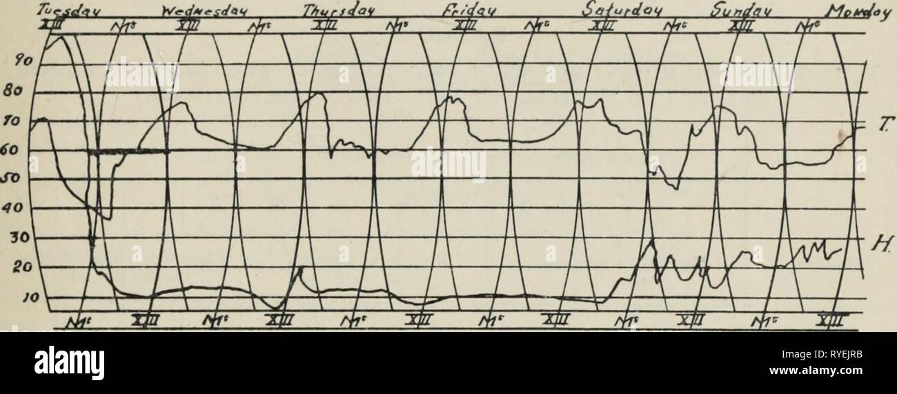 The effects of desiccating winds Stock Photo - Alamy