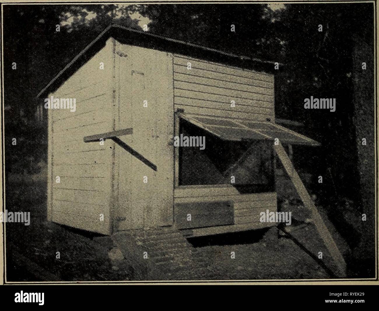 Egg money, how to increase Stock Photo - Alamy