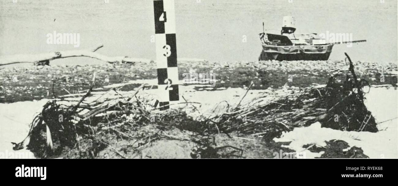 The effect of altered streamflow Stock Photo - Alamy