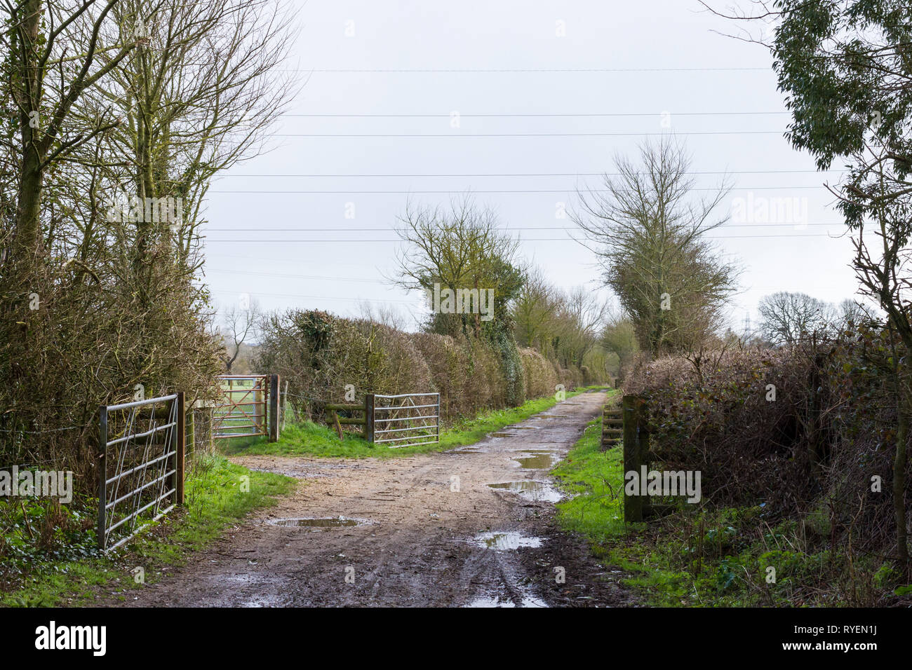 Muddy Footpath High Resolution Stock Photography and Images - Alamy