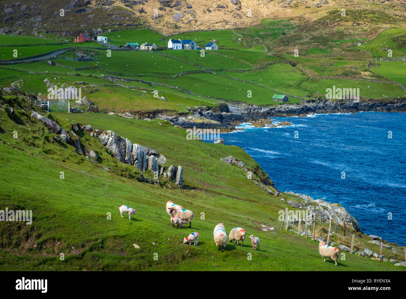 perfect landscape on Beara Peninsula Stock Photo - Alamy
