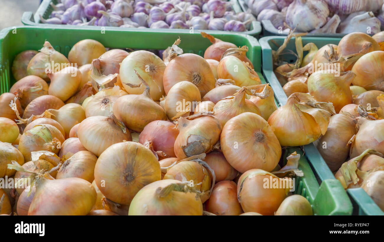 Red onions inside the green basket displayed outside the market stall ...