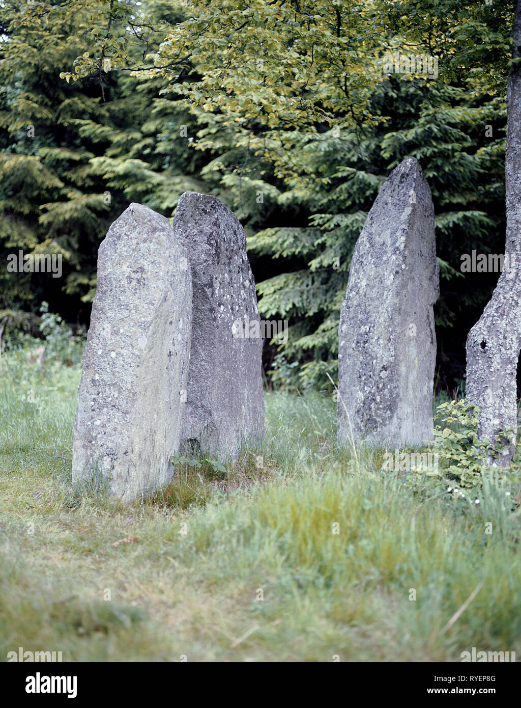 Bauta stones hi-res stock photography and images - Alamy