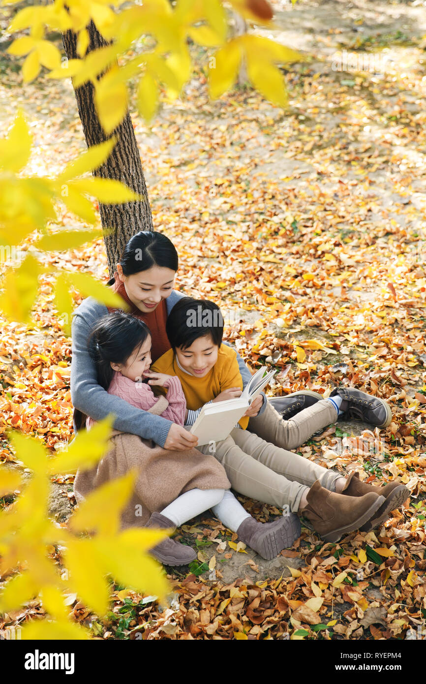 Child reading under tree hi-res stock photography and images - Alamy