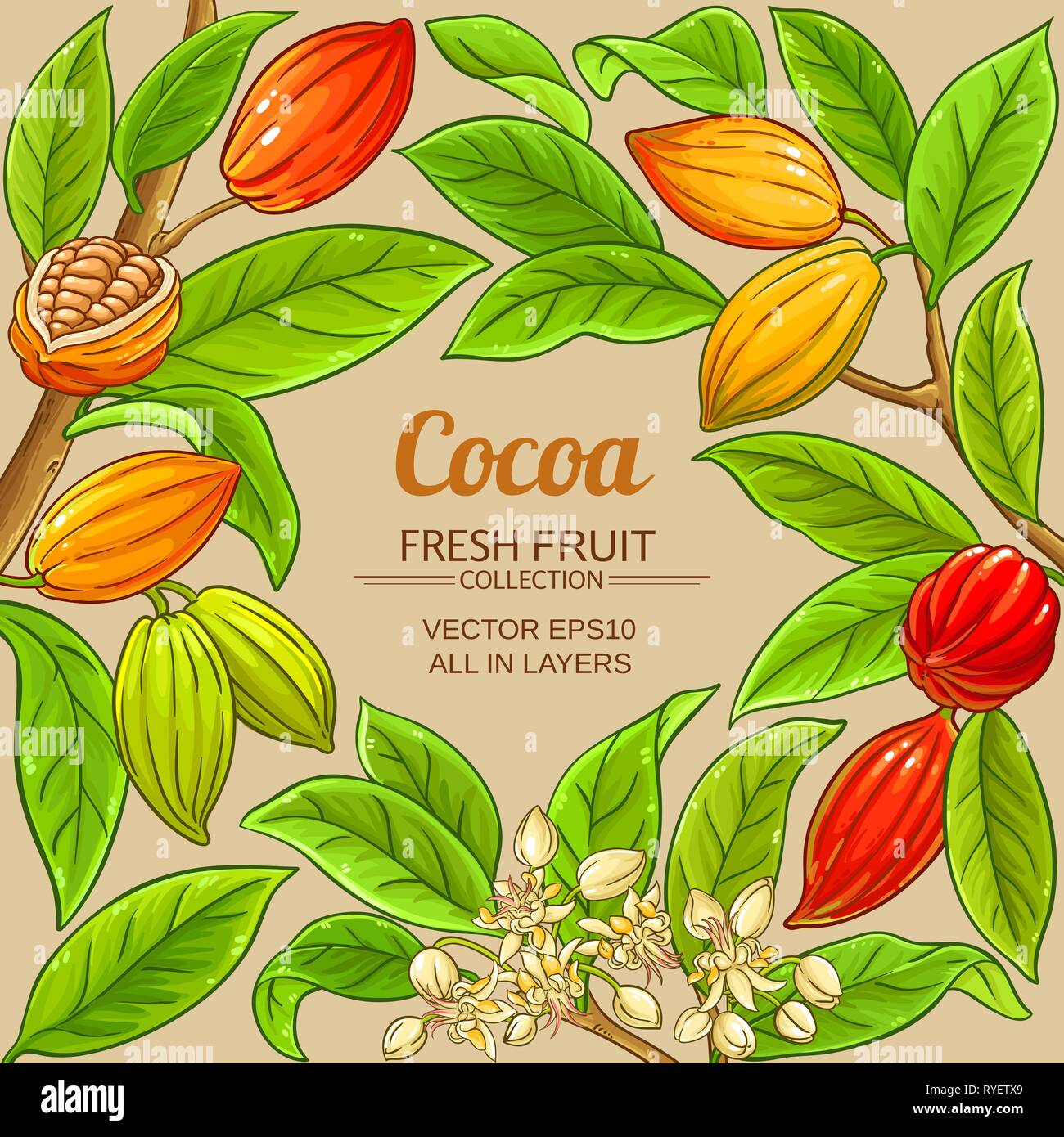 cocoa vector frame on color background Stock Vector Image & Art - Alamy