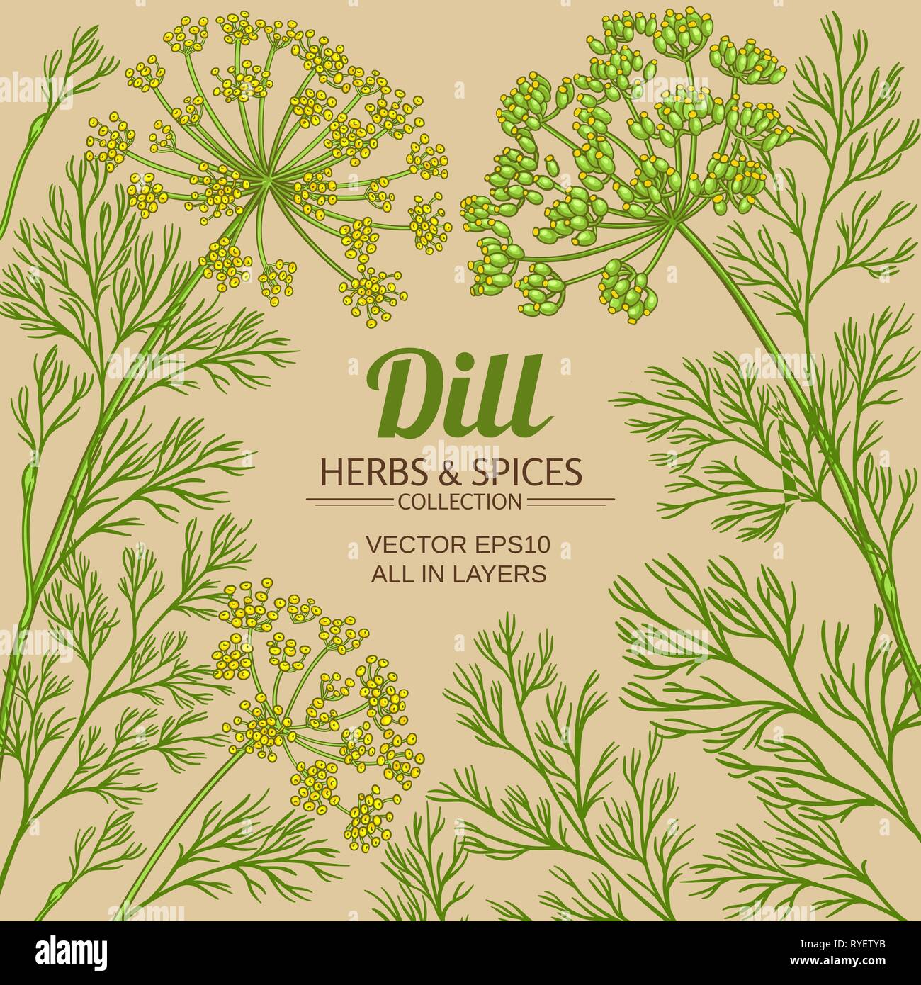 dill vector frame on color background Stock Vector Image & Art - Alamy