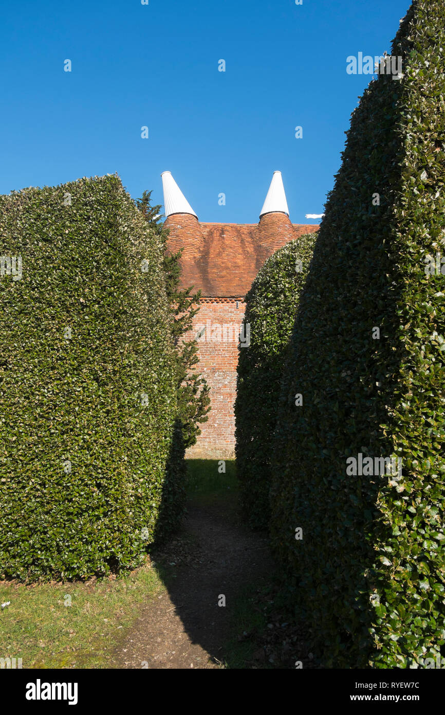 English holly topiary hi-res stock photography and images - Alamy