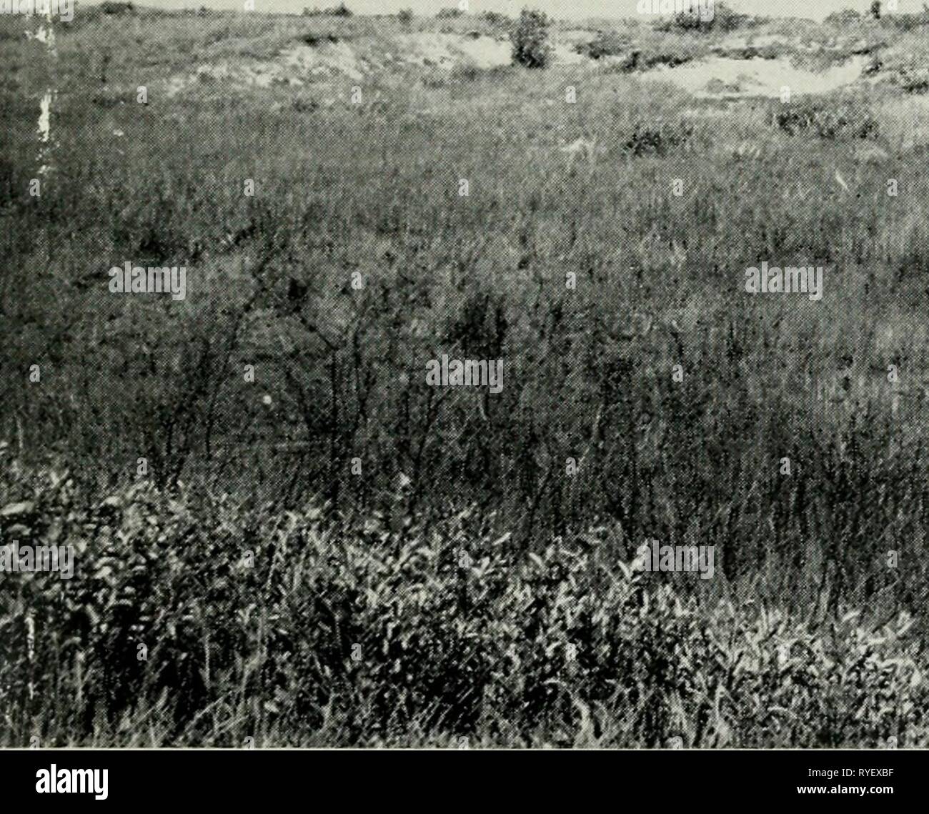Dunesland hi-res stock photography and images - Alamy