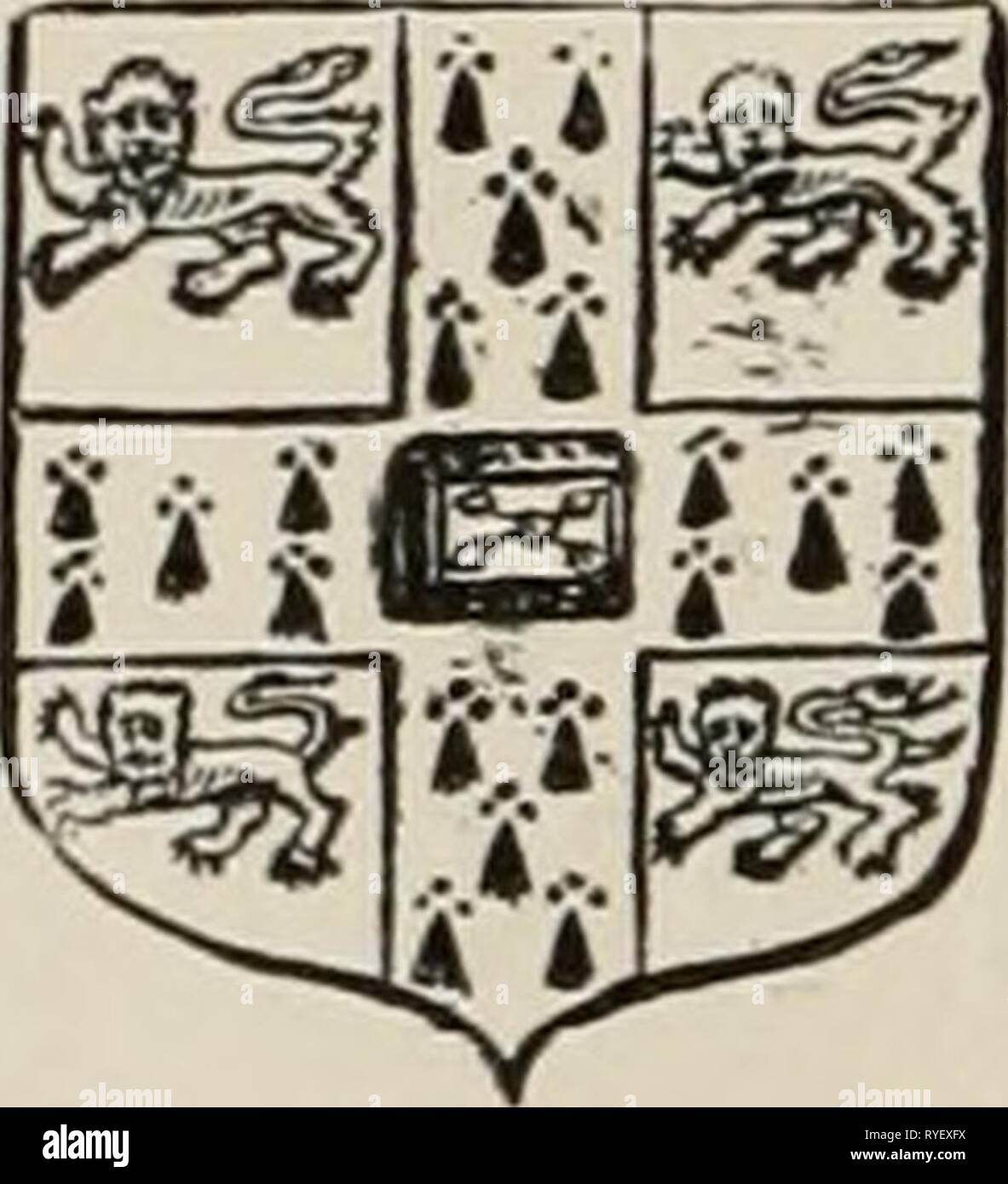 Earthworms and their allies (1912 Stock Photo - Alamy