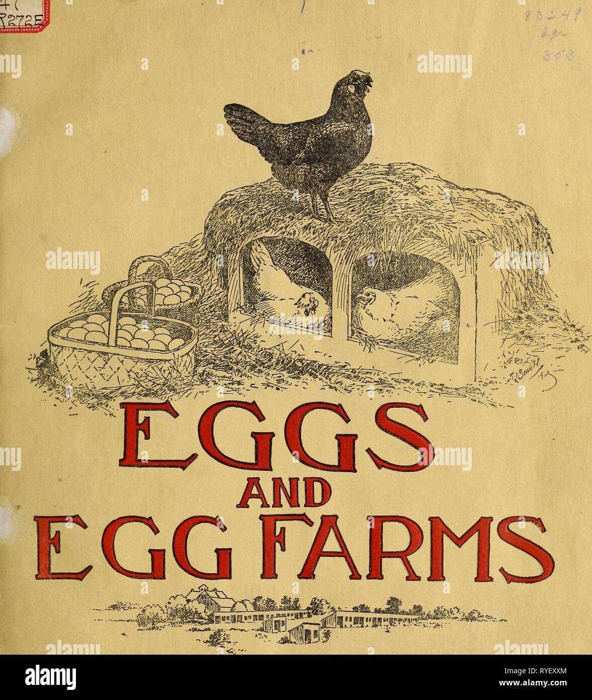 Eggs and egg farms Stock Photo - Alamy