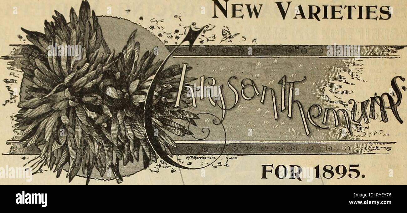 E H Hunt's catalogue (1895 Stock Photo - Alamy