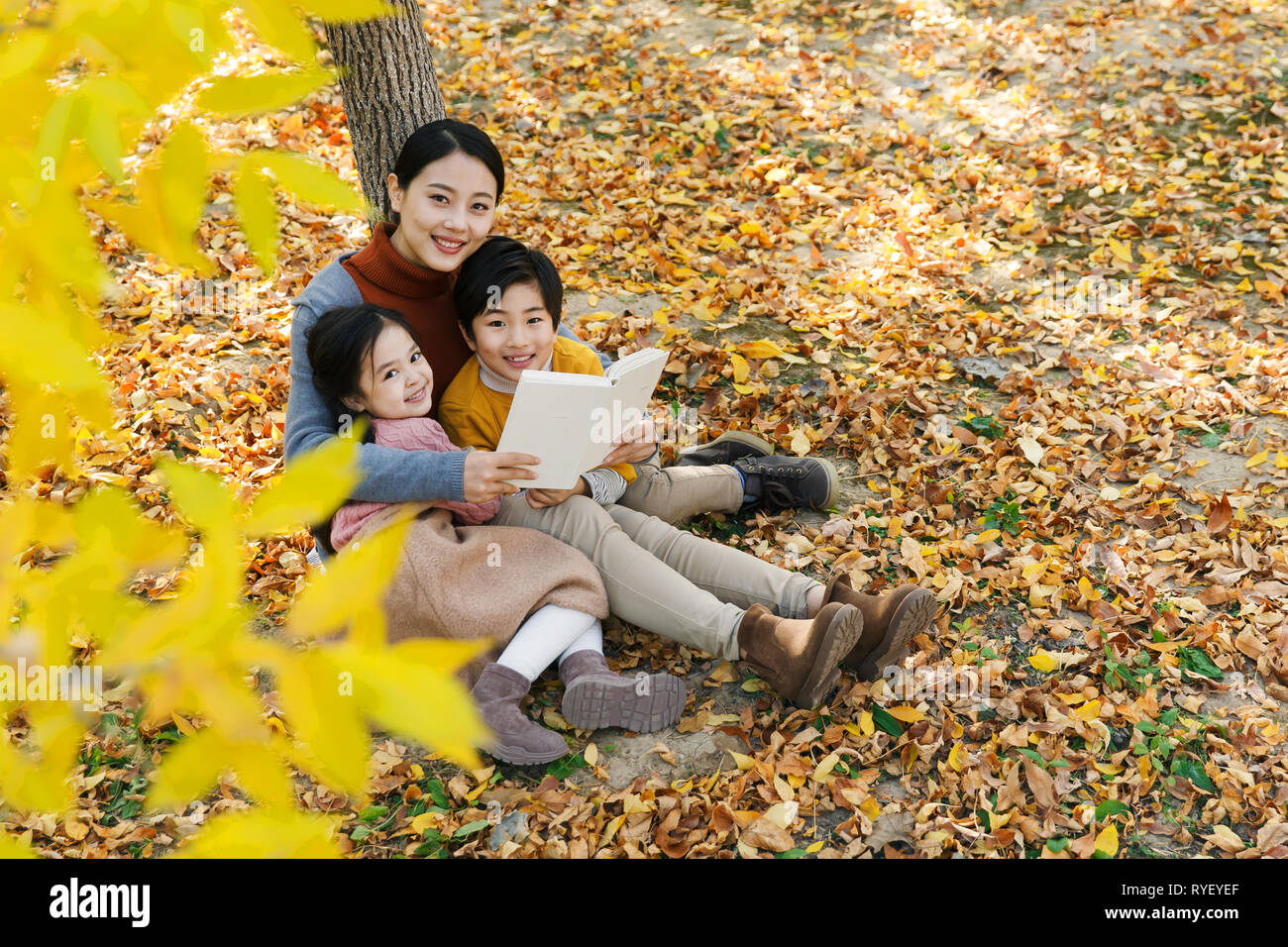 Child reading under tree hi-res stock photography and images - Alamy