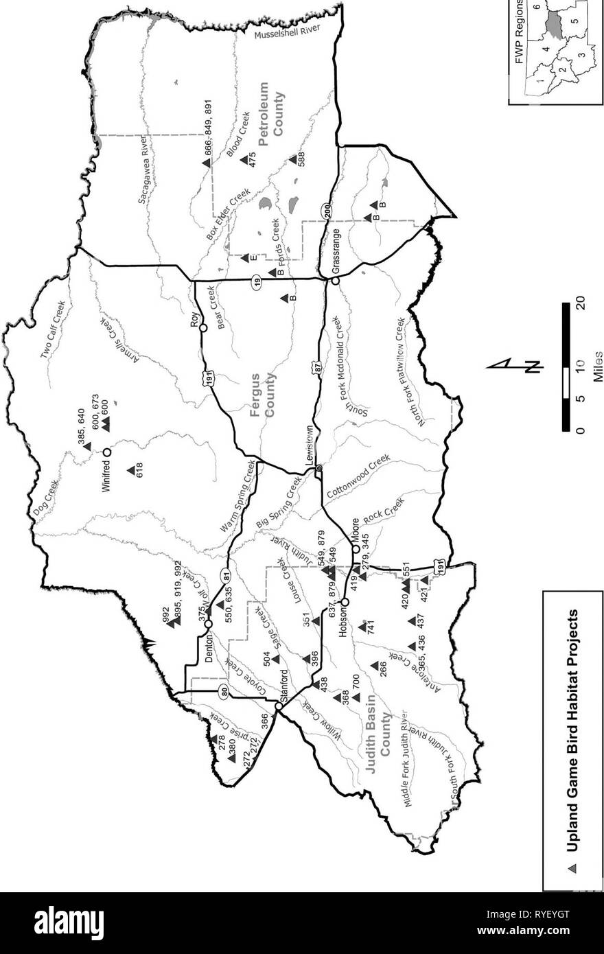 Bird guide book Black and White Stock Photos & Images - Alamy