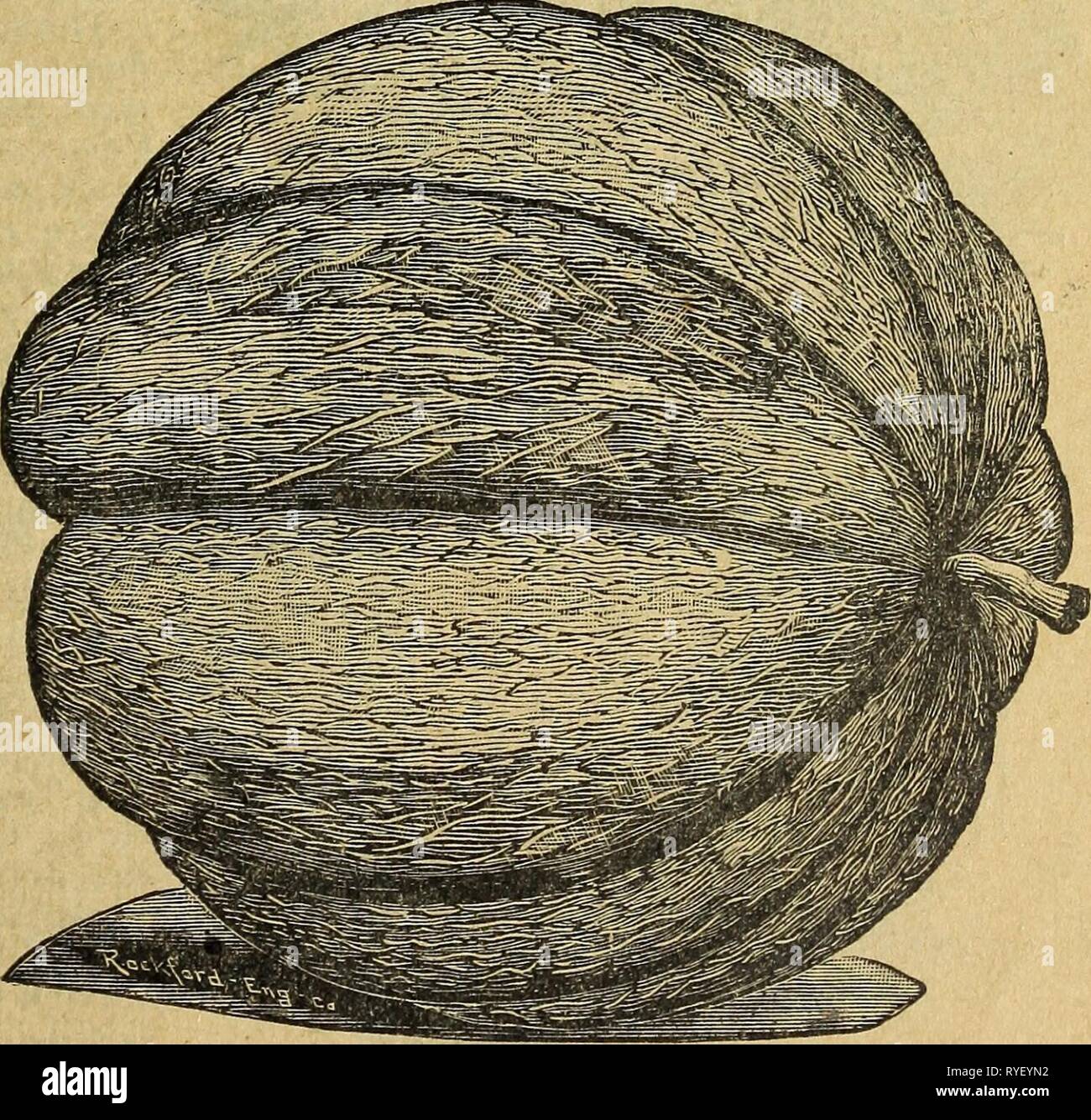 Annabil hi-res stock photography and images - Alamy