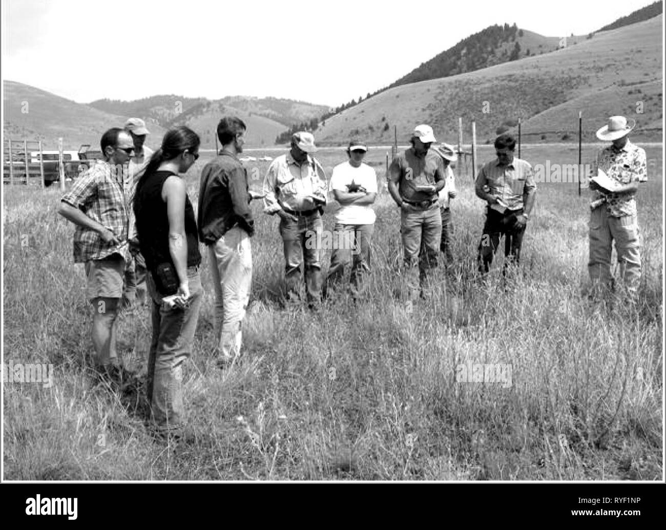 Statewide roadside vegetation management plan Stock Photo - Alamy