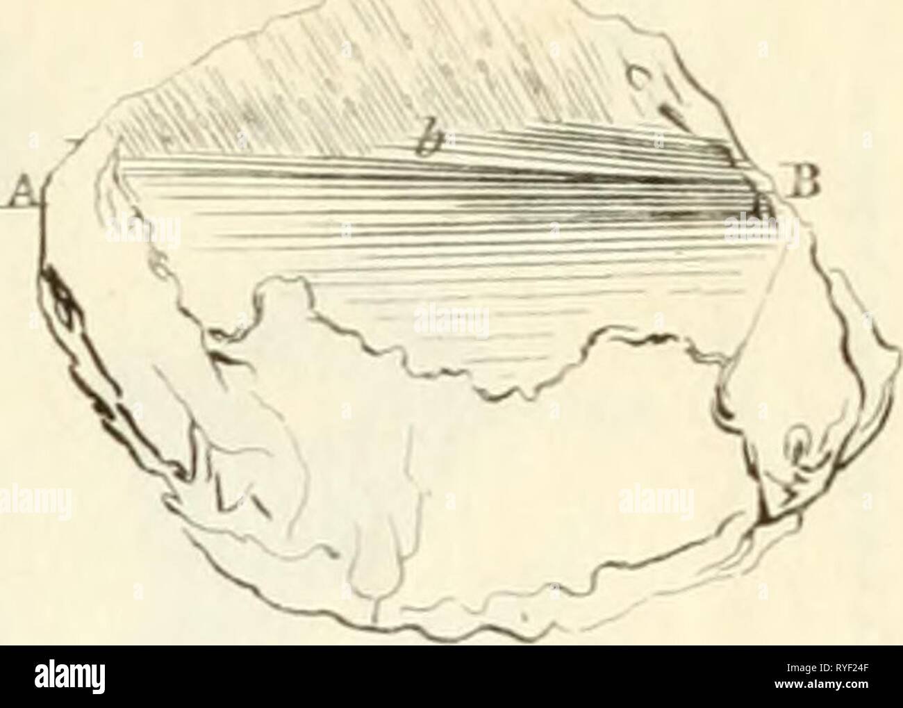 The Edinburgh journal of science. v. 1-10, July 1824-Apr. 1829; new ser ...