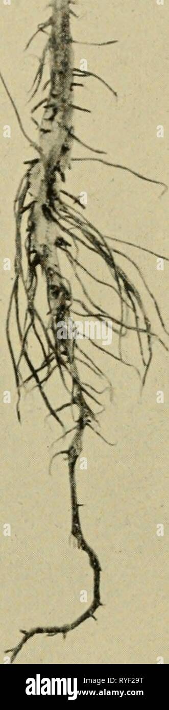 Effect of different reactions on Stock Photo - Alamy