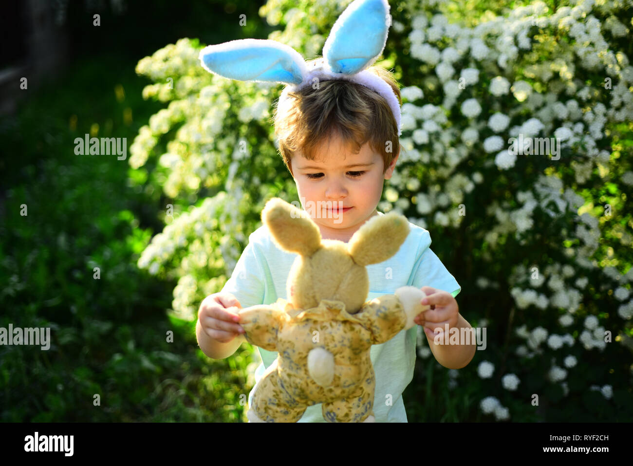 Easter Rabbit Boy High Resolution Stock Photography and Images - Alamy