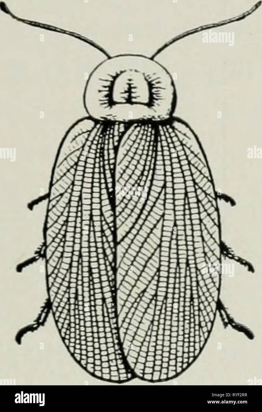 The Dunesland heritage of Illinois Stock Photo - Alamy