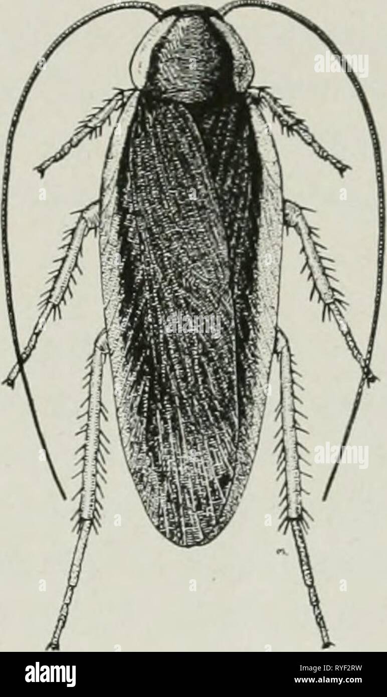 The Dunesland heritage of Illinois Stock Photo - Alamy