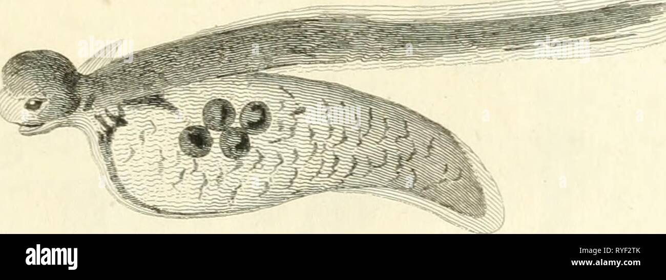 The Edinburgh journal of science. v. 1-10, July 1824-Apr. 1829; new ser ...