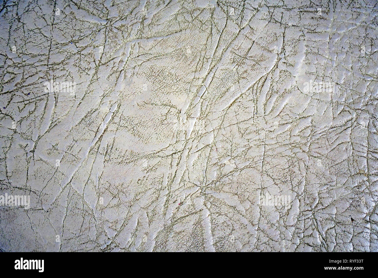 Old white skin texture with folds on surface Stock Photo - Alamy