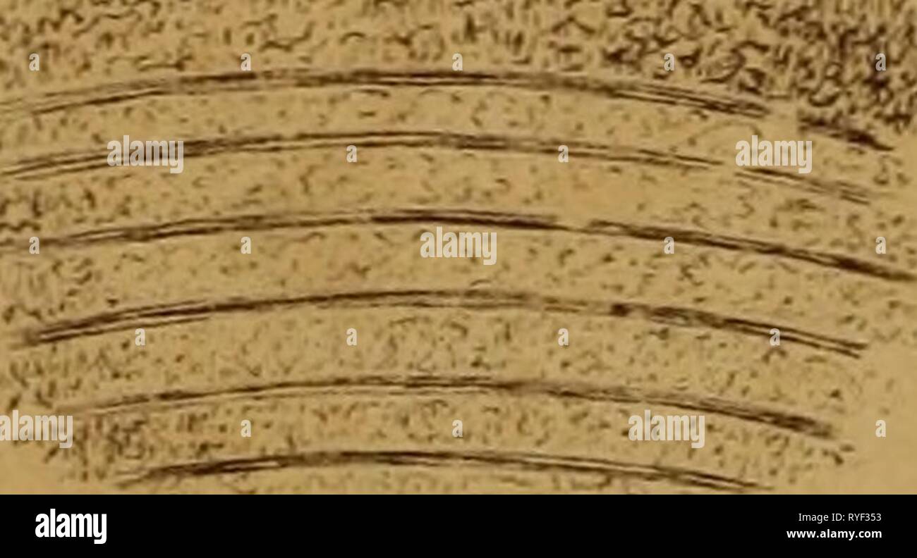 Columnar crystals hi-res stock photography and images - Alamy