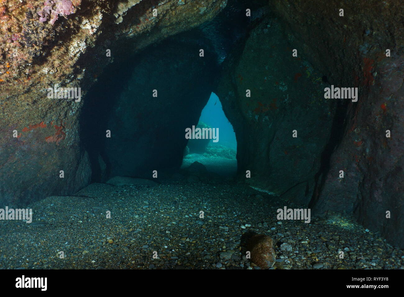 Inside a cave underwater with the exit in background, Mediterranean sea ...