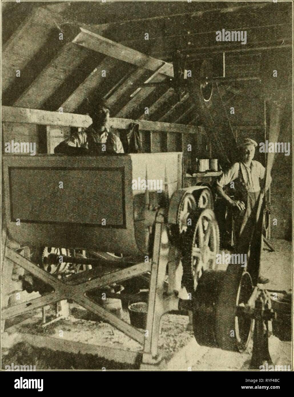 Duck dollars; (1911 Stock Photo - Alamy